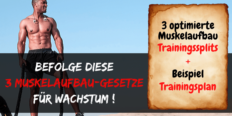 Muskel aufbauen Trainingsplan Artikel bild-min – Spartacus Fitness