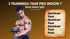 Muskeln aufbauen Trainingsplan: So hast du 3x mehr Erfolg – Spartacus ...