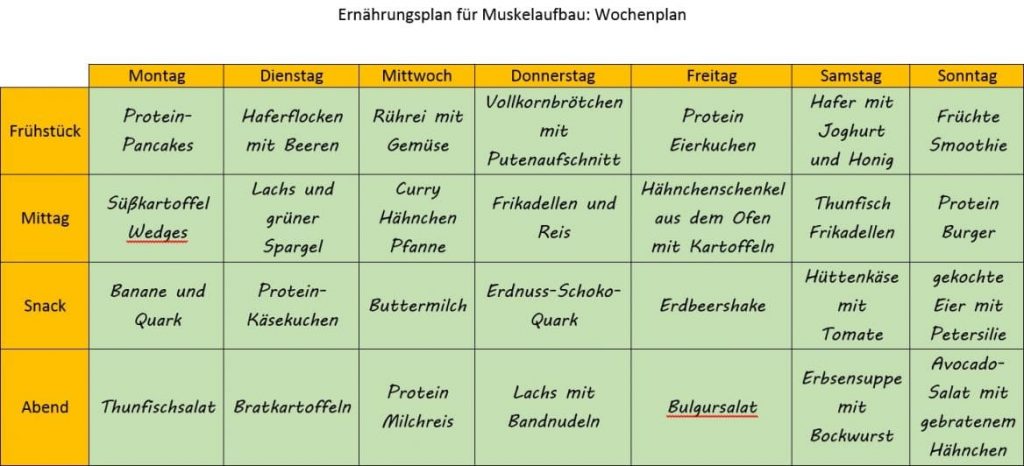 ᐅ Ernährungsplan Muskelaufbau:Wochenplan - Der Muskelaufbau-Turbo